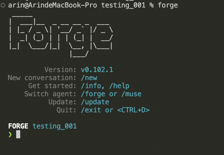 Forge Code - Z.AI API DOC